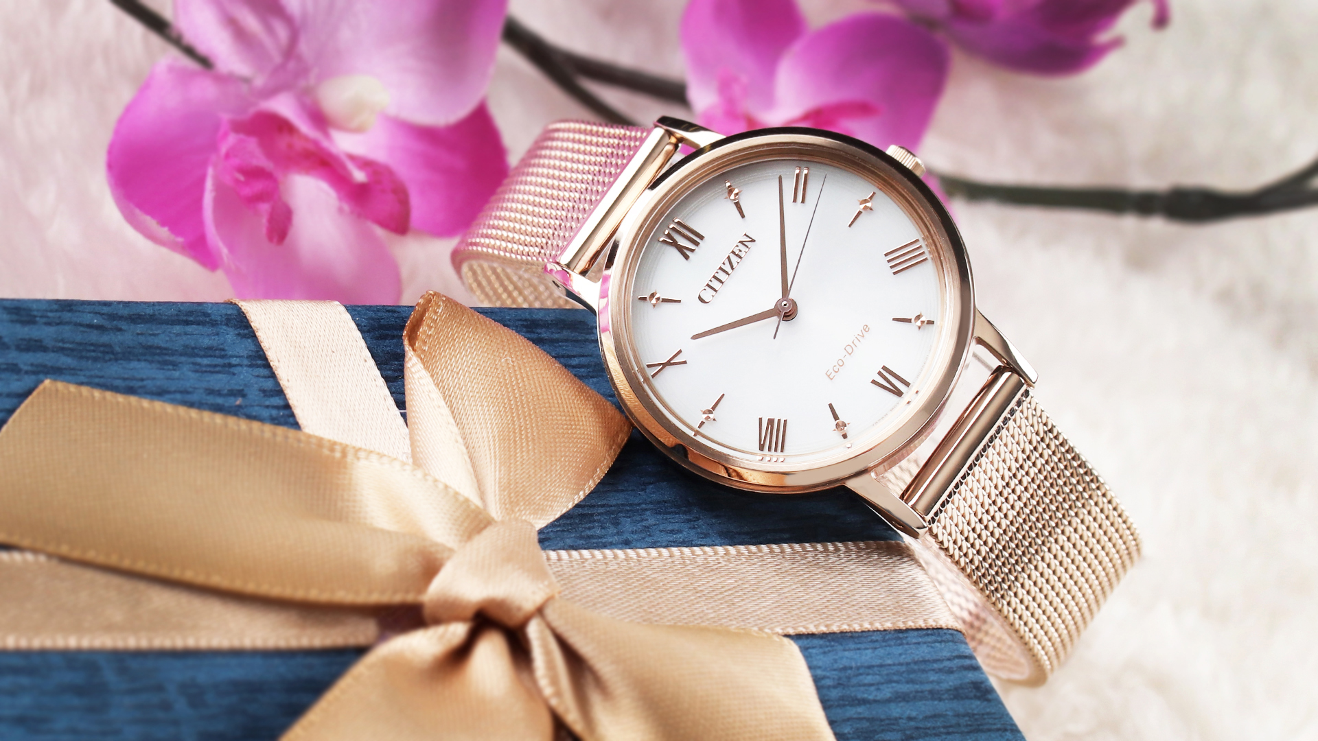 The most beautiful women's watches | Hodinky-365.com