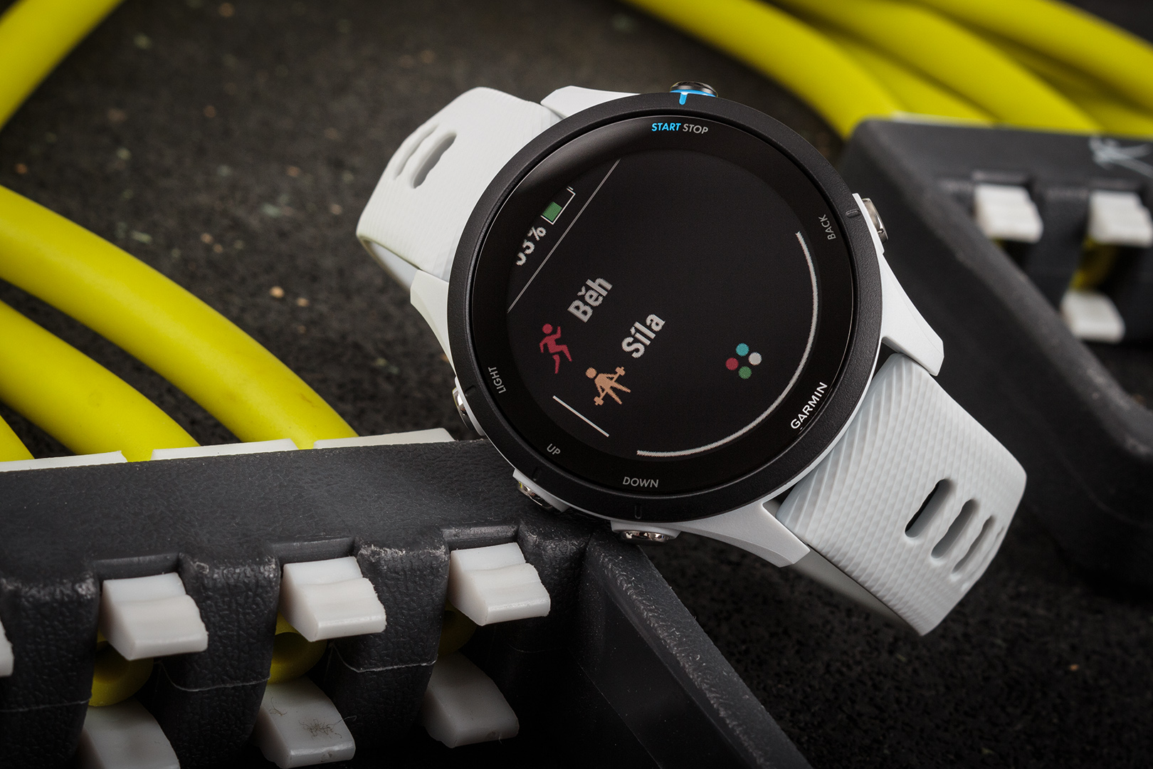 DUEL: Garmin Forerunner 255 vs. Garmin Forerunner 955