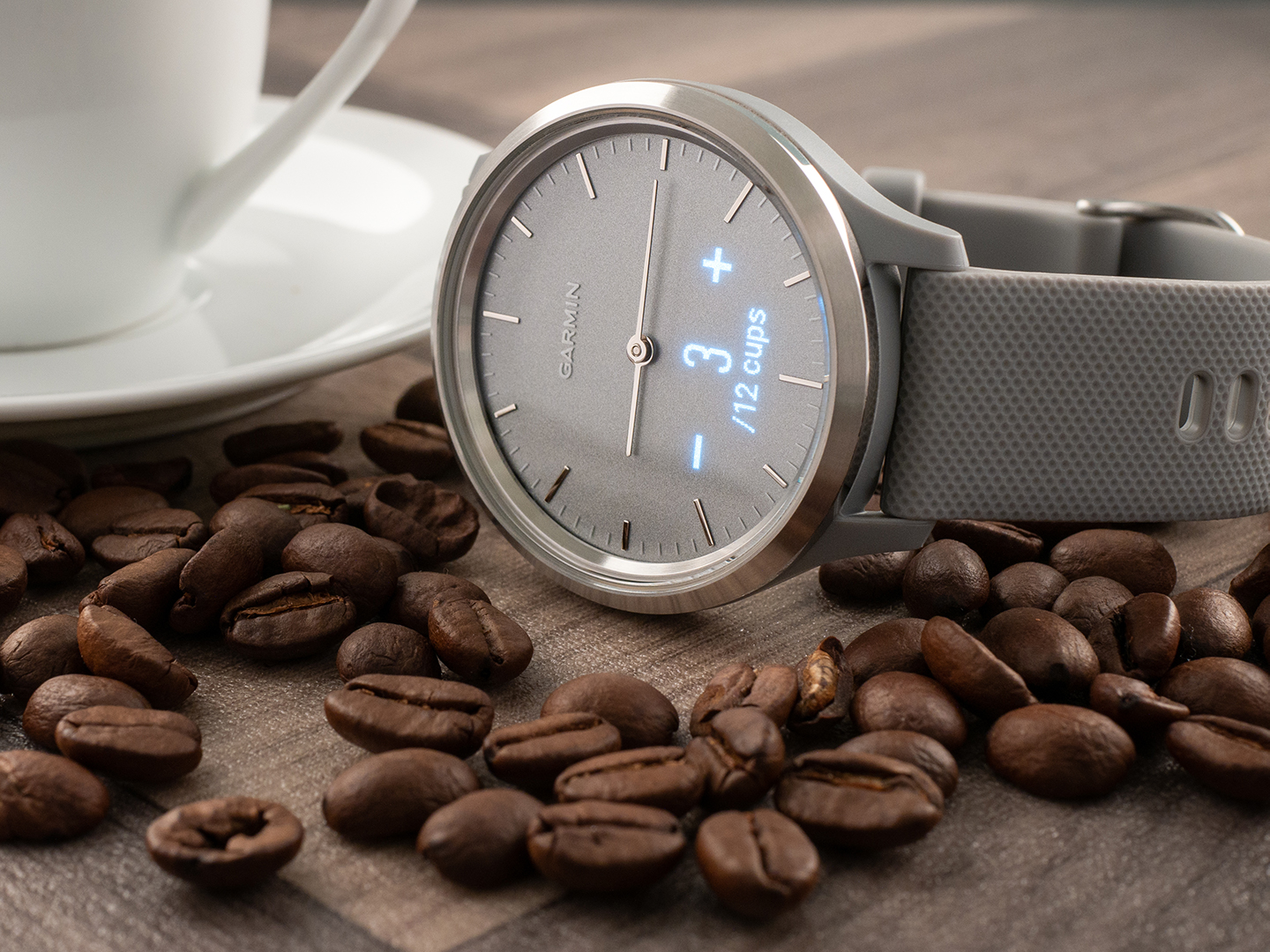 Men's Smart Garmin Watches | Hodinky-365.com