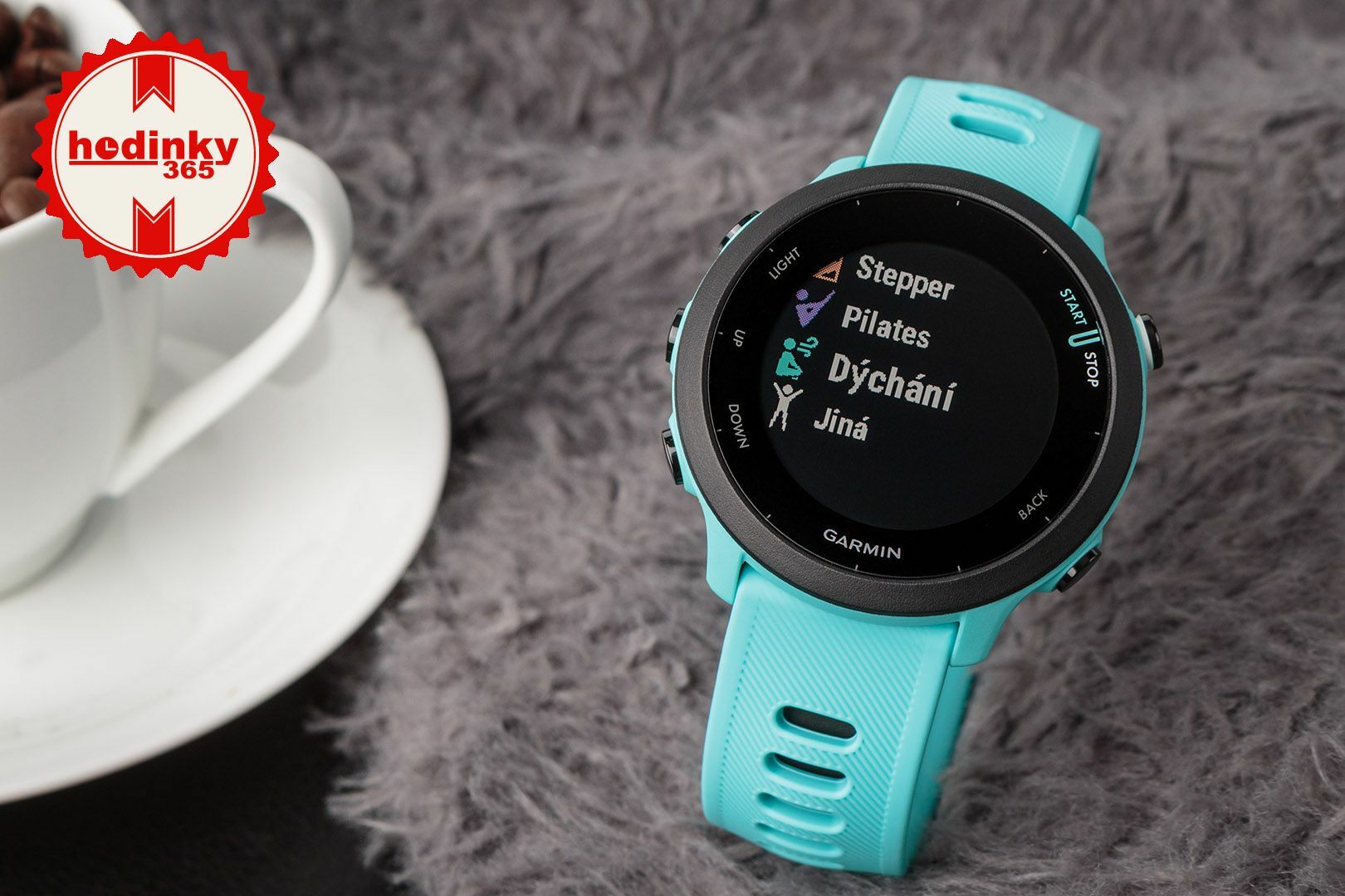 Garmin Forerunner 55 Blue | Hodinky-365.com