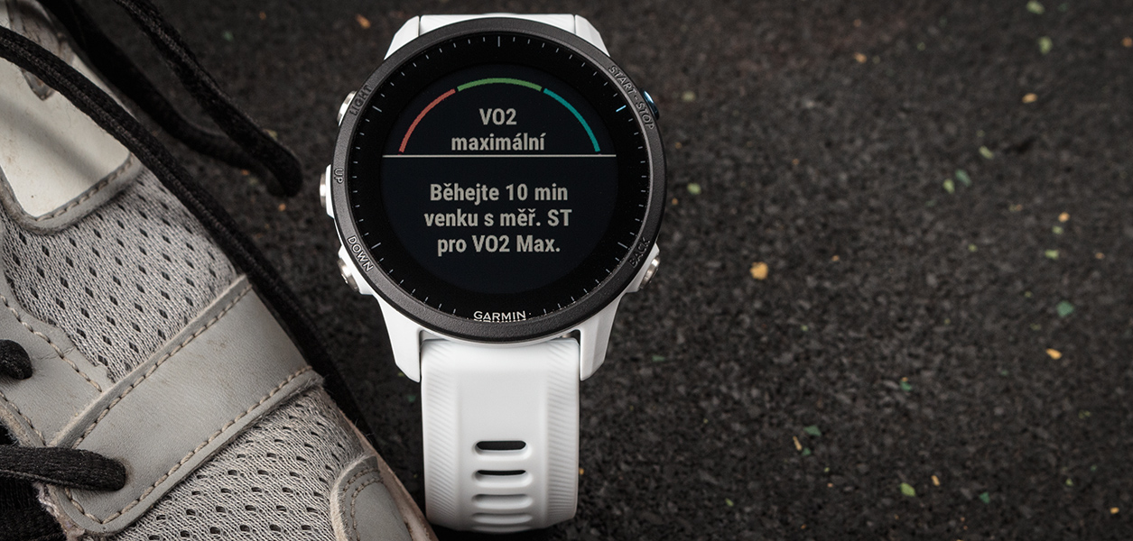 Garmin Forerunner 955 PRO Whitestone | Hodinky-365.com